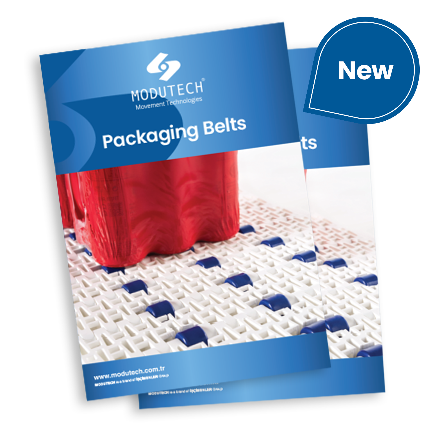 Download industry-focused belts brochure for detailed information on ...